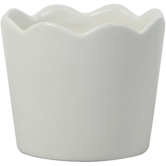 6 Inch Pots