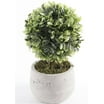 Regency International Topiary Flocked Boxwood Single Ball Topiary in ...