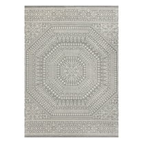 Mainstays 5' x 7' Blue Traditional Medallion Outdoor Rug - Walmart.com