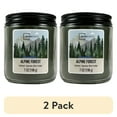 (2 pack) Mainstays Alpine Forest Scented Single-Wick Twist Jar Candle ...