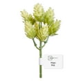 Mainstays 6.4 Inch Artificial Cream Hops Pick, Lifelike Texture ...