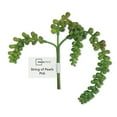 Mainstays Artificial Olive Green Succulent Pick 12" String of Pearls ...