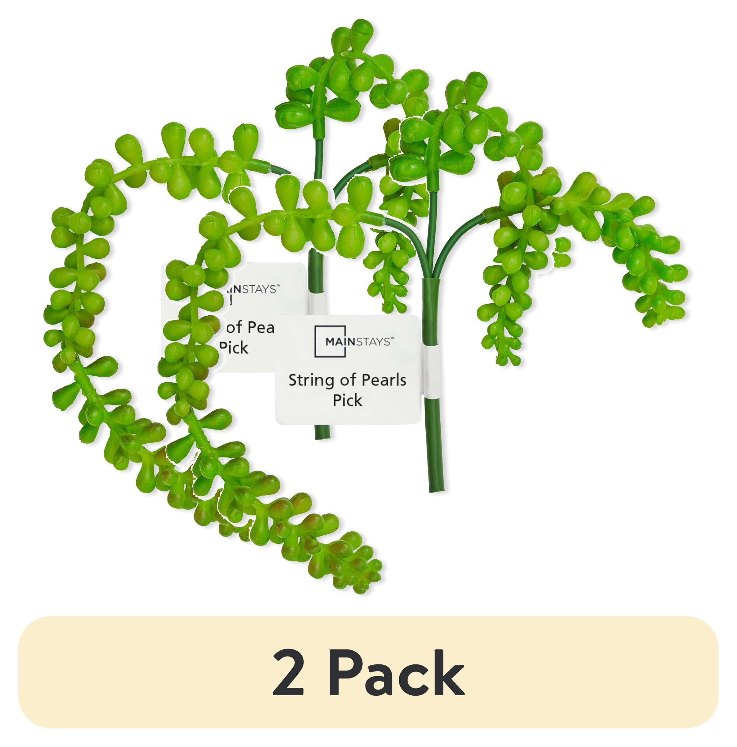 (2 pack) Mainstays Artificial Succulent Pick 12 inch Light Green String ...