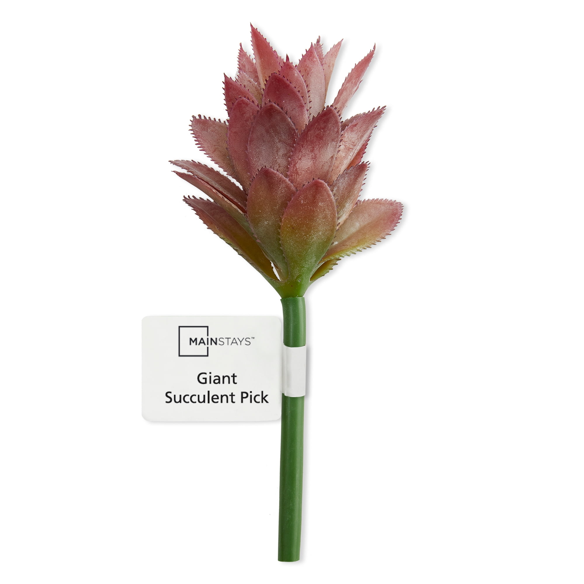 Mainstays Artificial Succulent Torch Pick 2.55 inch x 6.95 inch Red ...