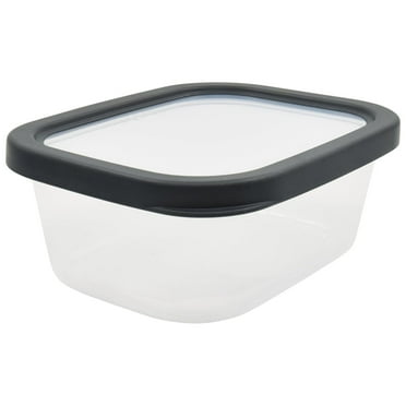 Sistema Small Split To Go Divided Snack Container - Walmart.com
