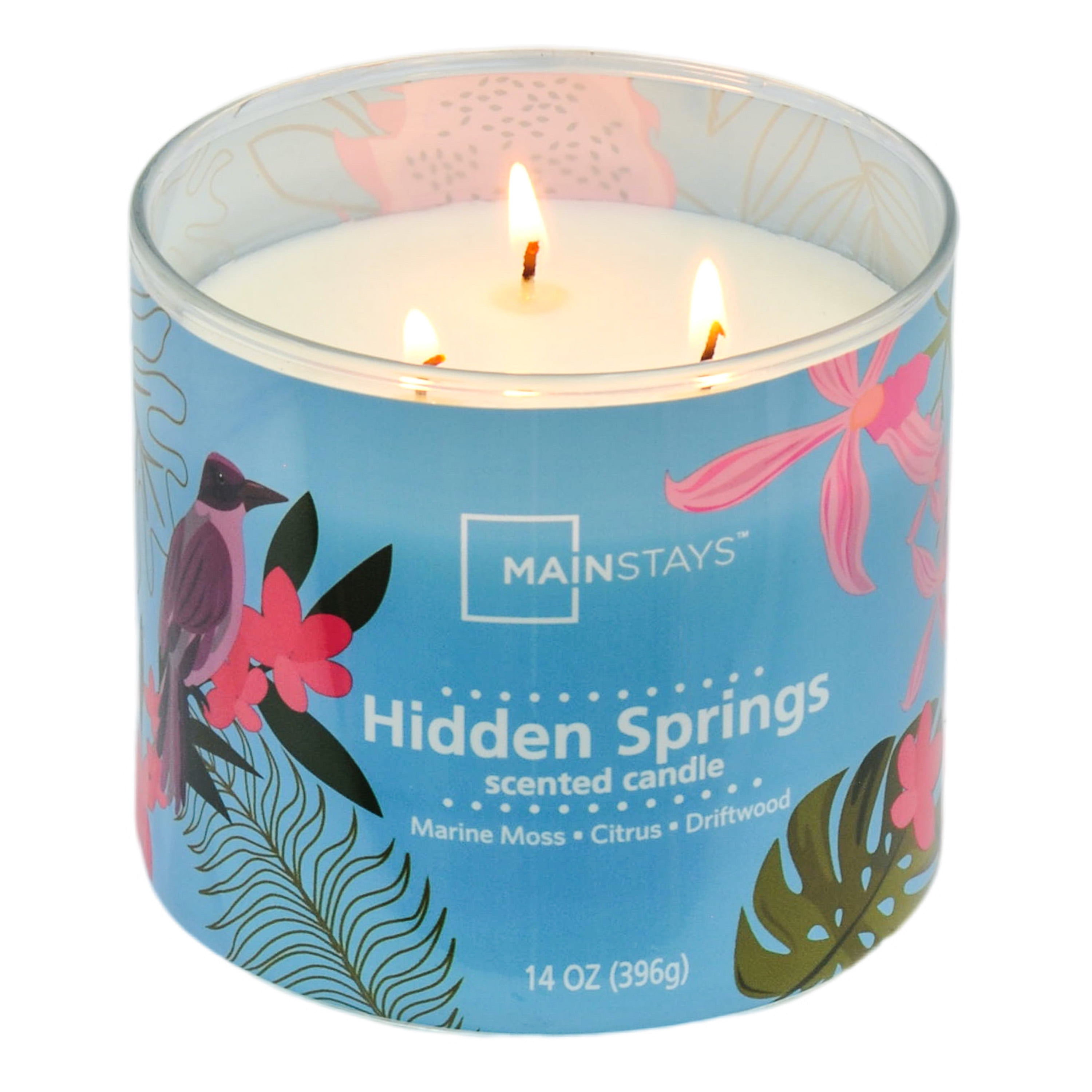 Mainstays Hidden Springs 3-Wick Candle, 14 Oz, Multi-Scent, Decorative ...