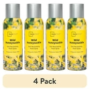 Lysol Neutra Air Freshmatic Automatic Spray Kit (Gadget + 1 Refill ...