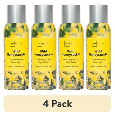 Lysol Neutra Air Freshmatic Automatic Spray Kit (Gadget + 1 Refill ...