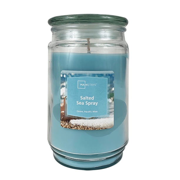 Mainstays Salted Sea Spray Scented Single-Wick Large Glass Jar Candle ...