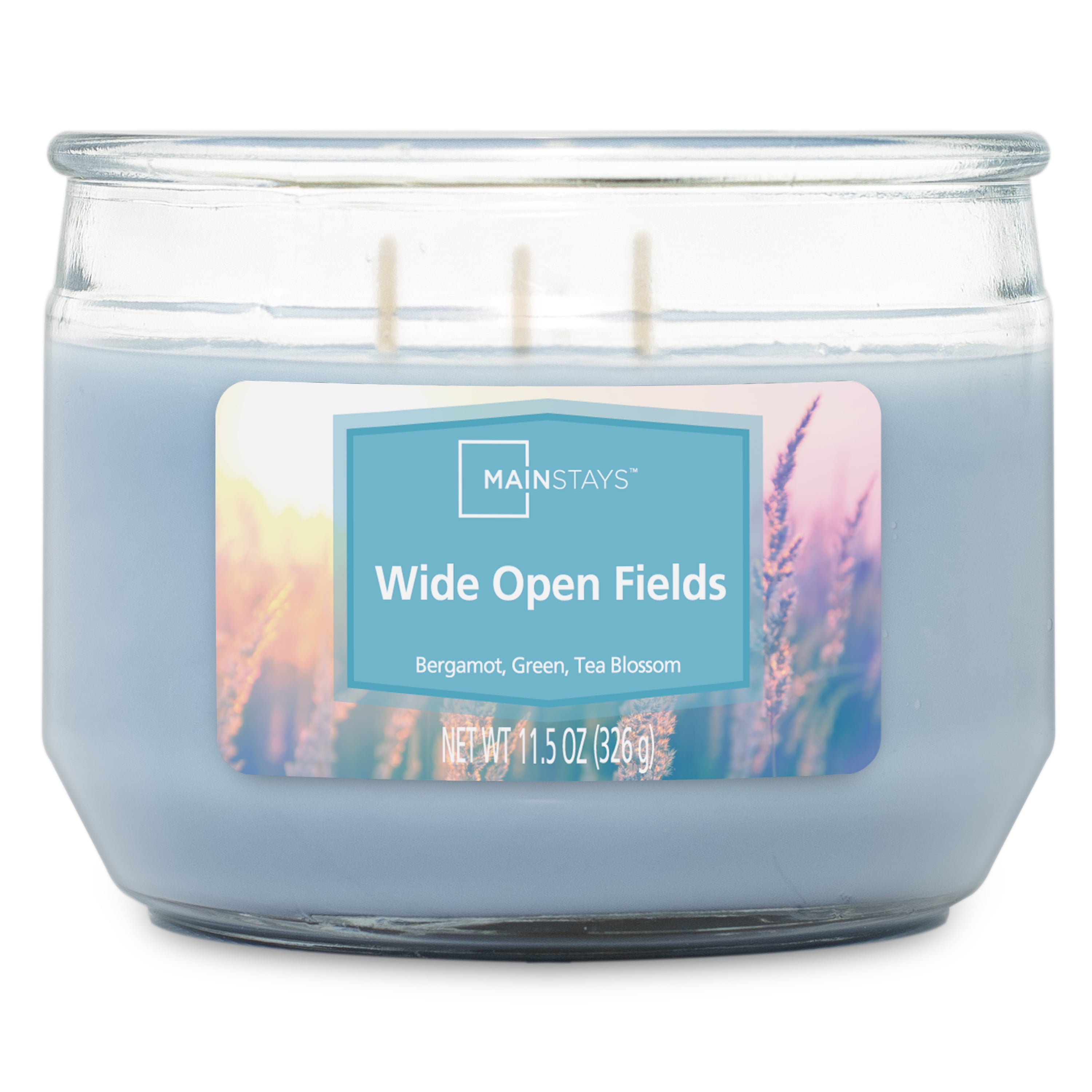 Mainstays Wide Open Fields 3 Wick Candle 11.5 oz Cozy Comfort Greenery ...