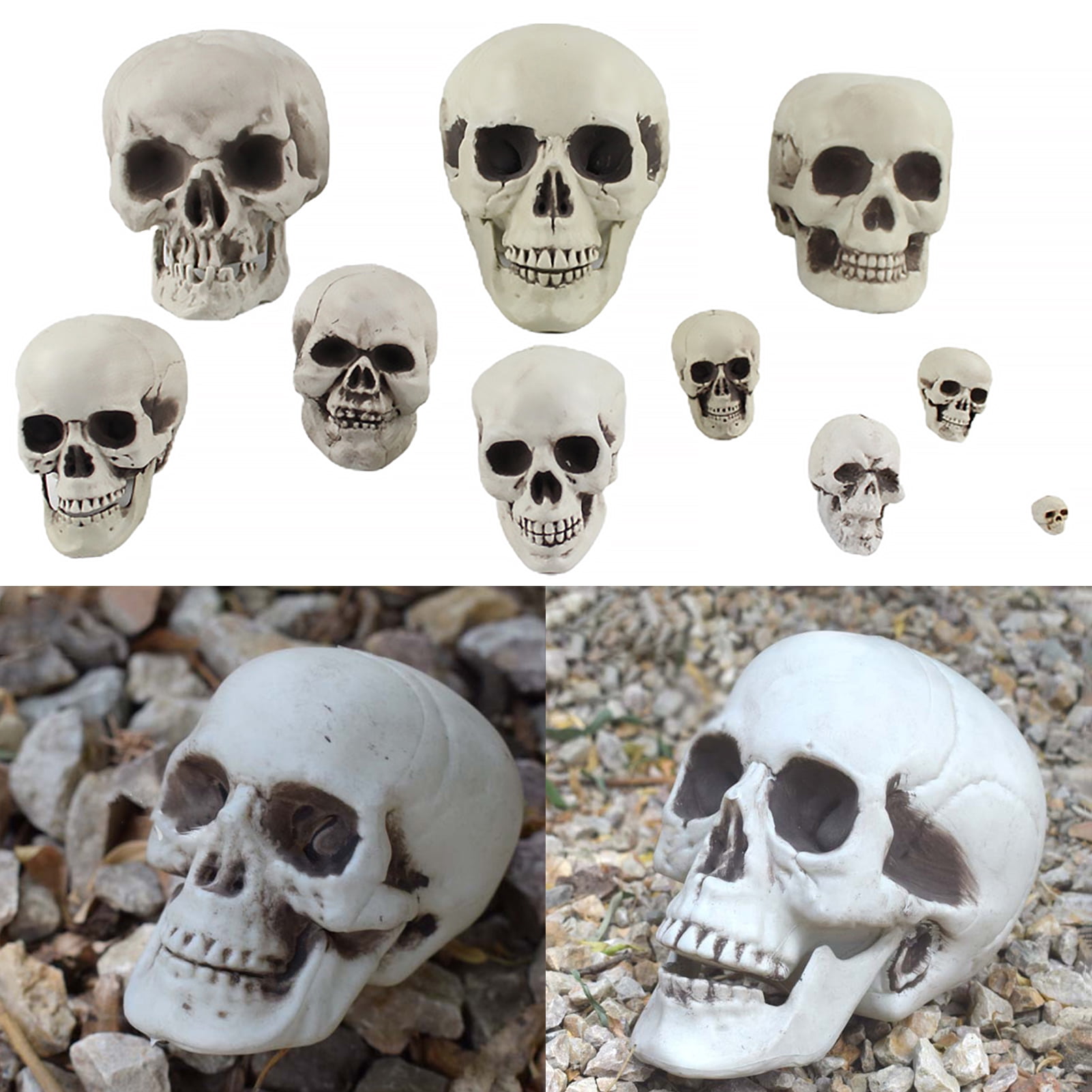 Mairbeon Skull Ornament Creative Delicate Realistic Human Skull Statue ...