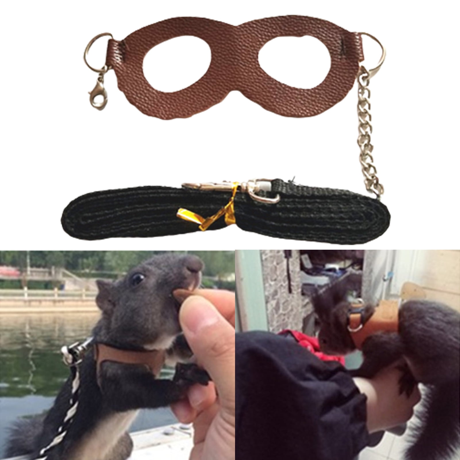 Mairbeon Squirrel Harness Anti-knot Anti-biting Faux Leather Pet Leash ...