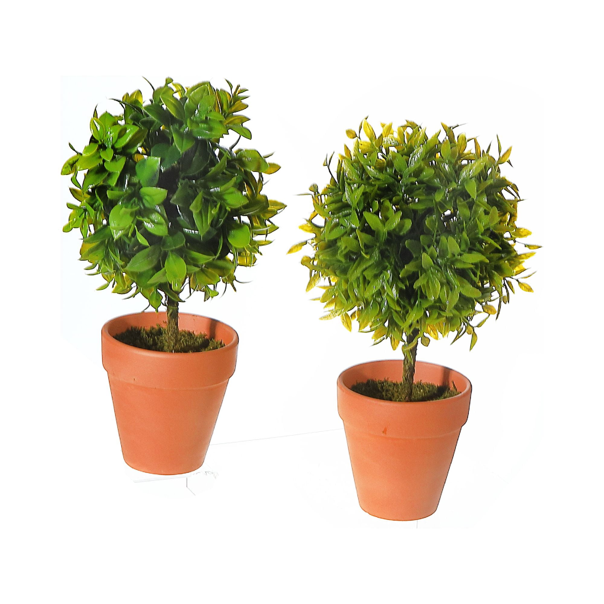 Maison Concepts Artificial Topiary Ball Plant In Clay Pot Asstd - Set ...