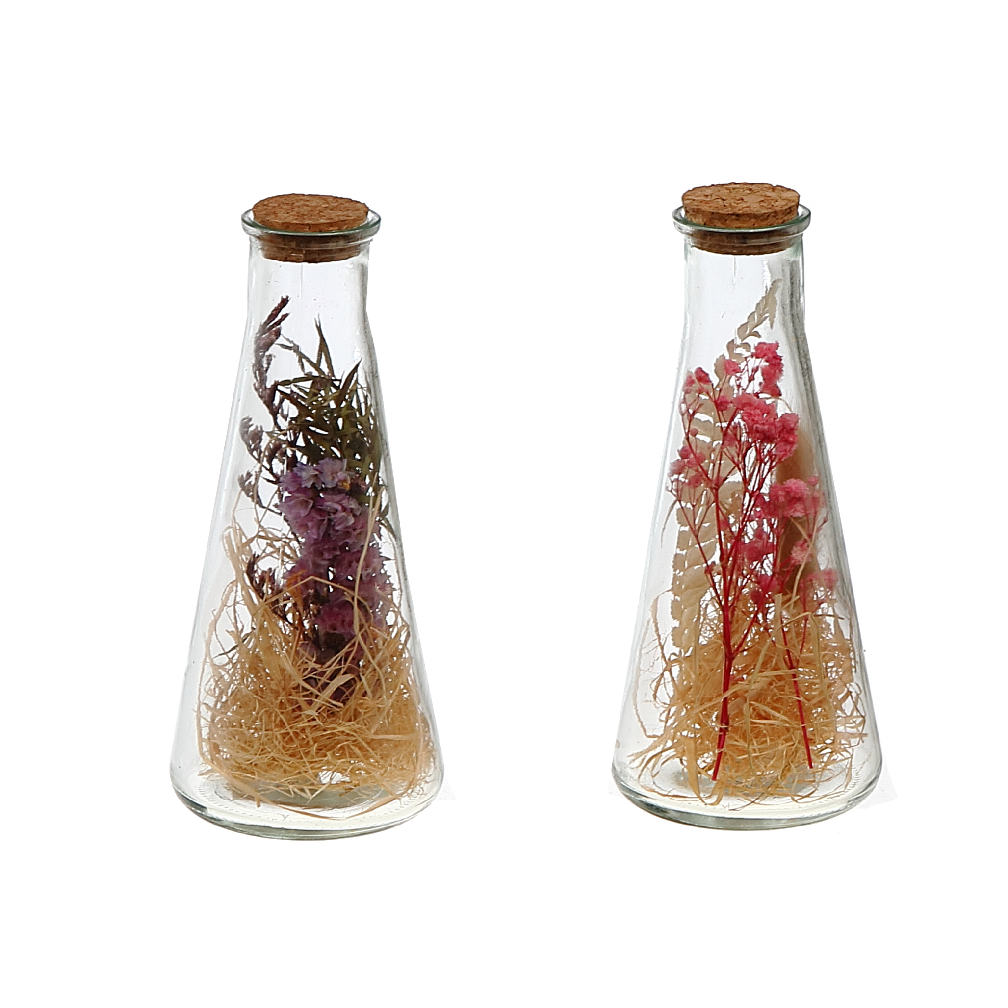 Maison Concepts Dried Floral Arrangement In Glass Triangular Tube Asstd ...