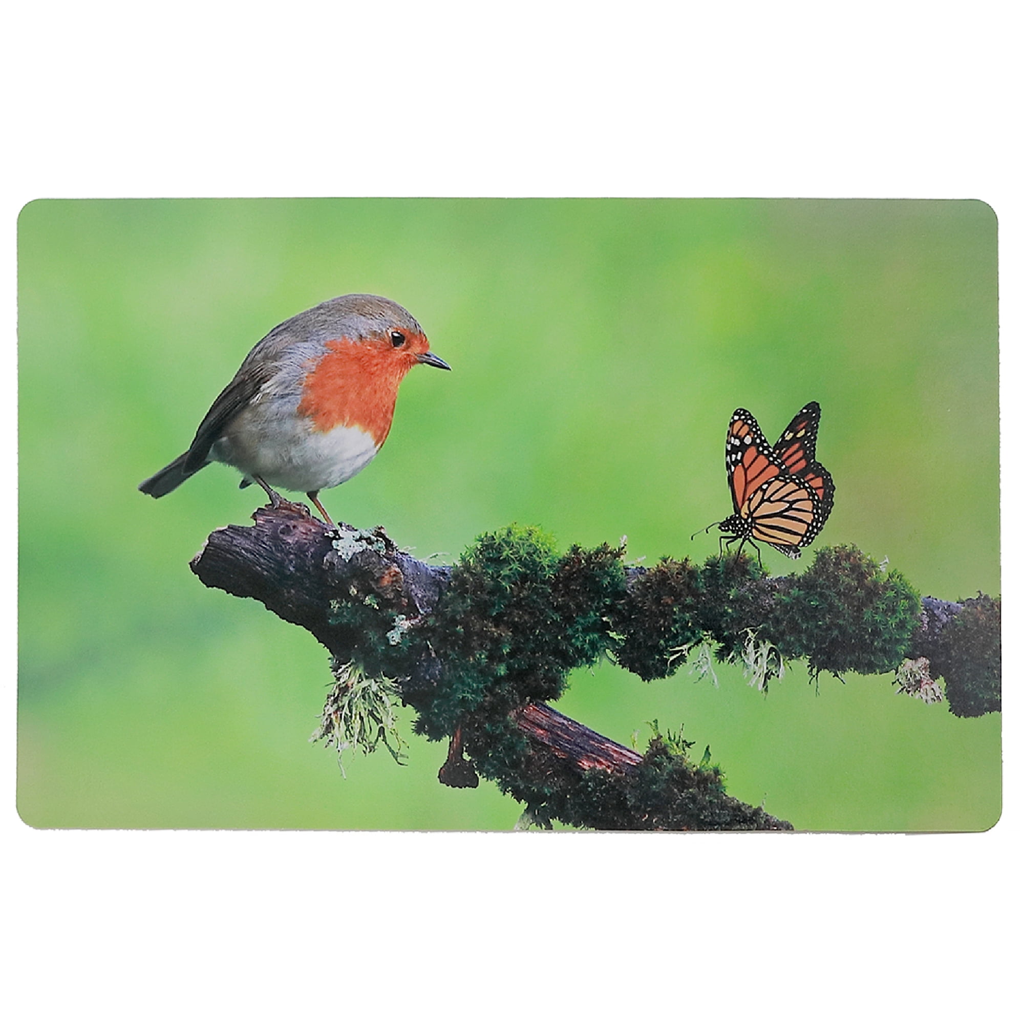 Maison Concepts Plastic Placemat Robin And Monarch 12 X 18 (Multi) 12 ...