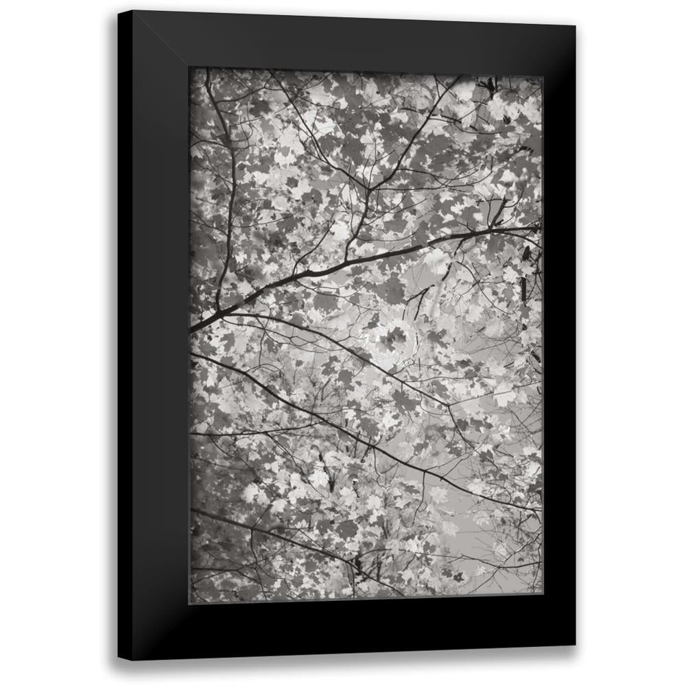 Majchrowicz, Alan 11x14 Black Modern Framed Museum Art Print Titled - Foliage I - Walmart.com