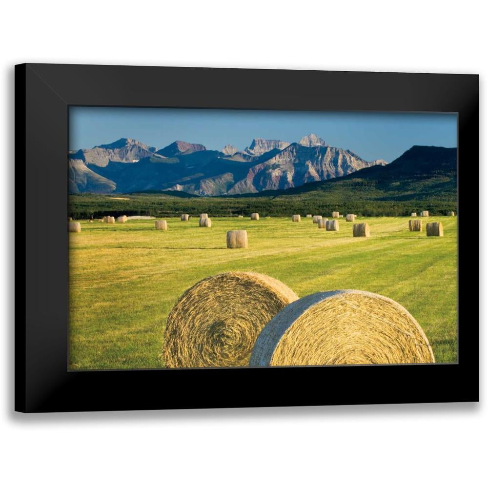 Majchrowicz, Alan 14x11 Black Modern Framed Museum Art Print Titled - Waterton Hay Bales ...