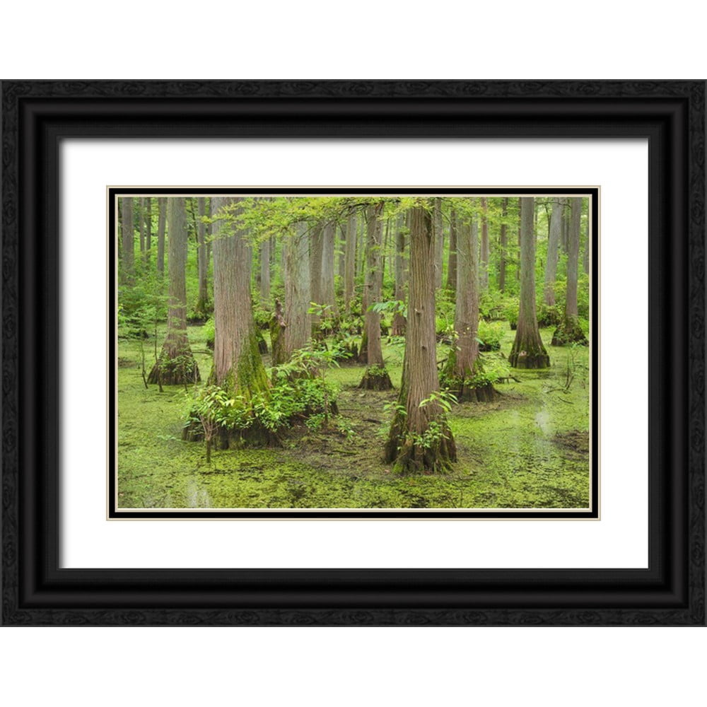 Majchrowicz, Alan 14x11 Black Ornate Wood Framed with Double Matting ...