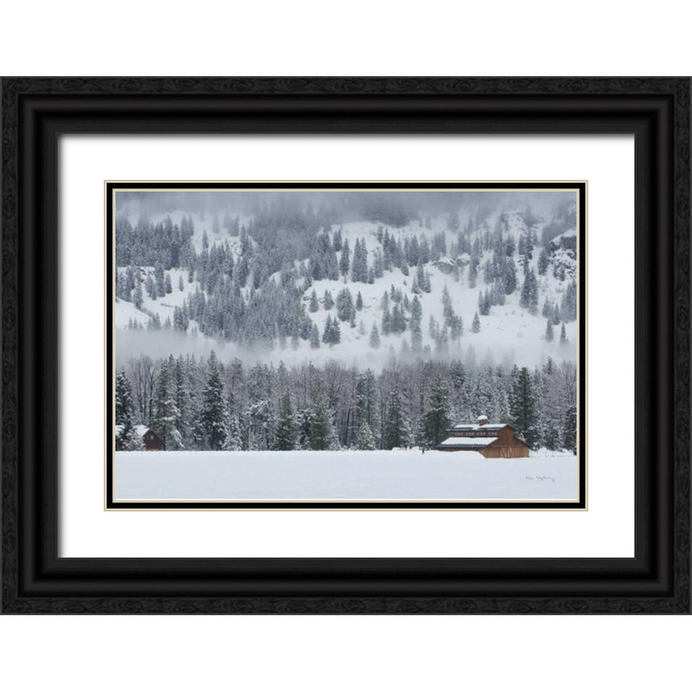 Majchrowicz, Alan 14x11 Black Ornate Wood Framed with Double Matting Museum Art Print Titled ...