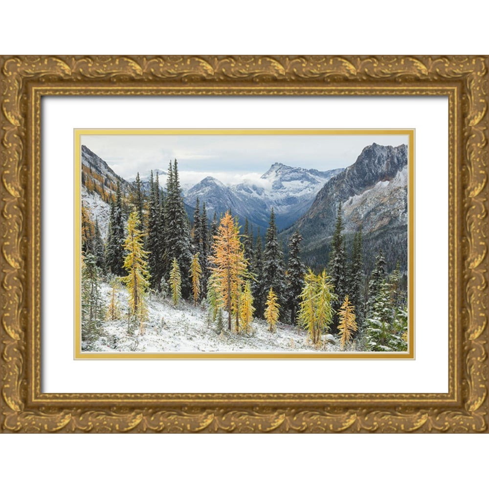 Majchrowicz, Alan 14x11 Gold Ornate Wood Framed with Double Matting ...
