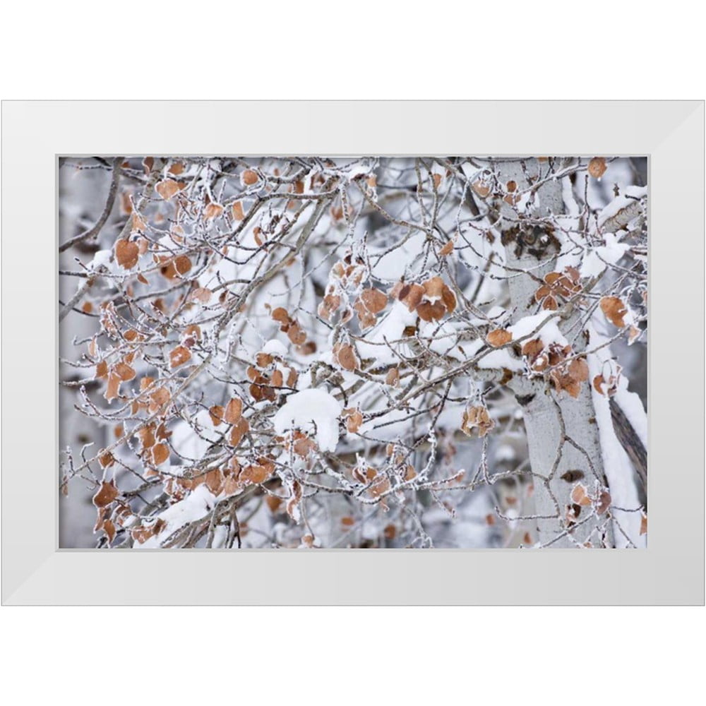 Majchrowicz, Alan 14x11 White Modern Wood Framed Museum Art Print ...