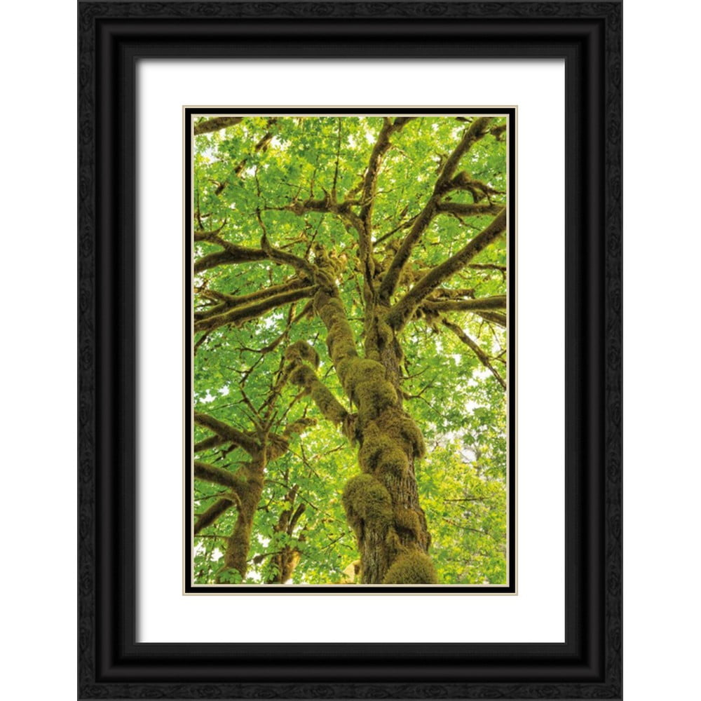 Majchrowicz, Alan 17x24 Black Ornate Wood Framed with Double Matting ...