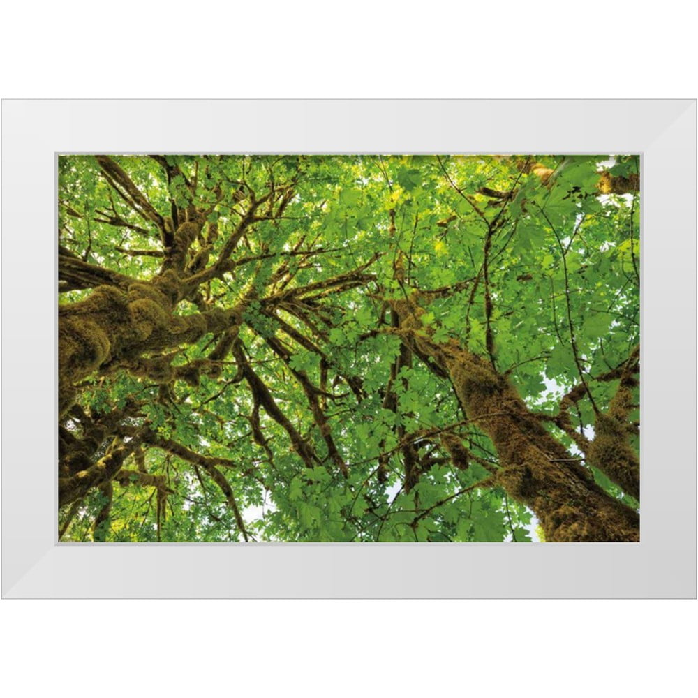 Majchrowicz, Alan 18x13 White Modern Wood Framed Museum Art Print ...