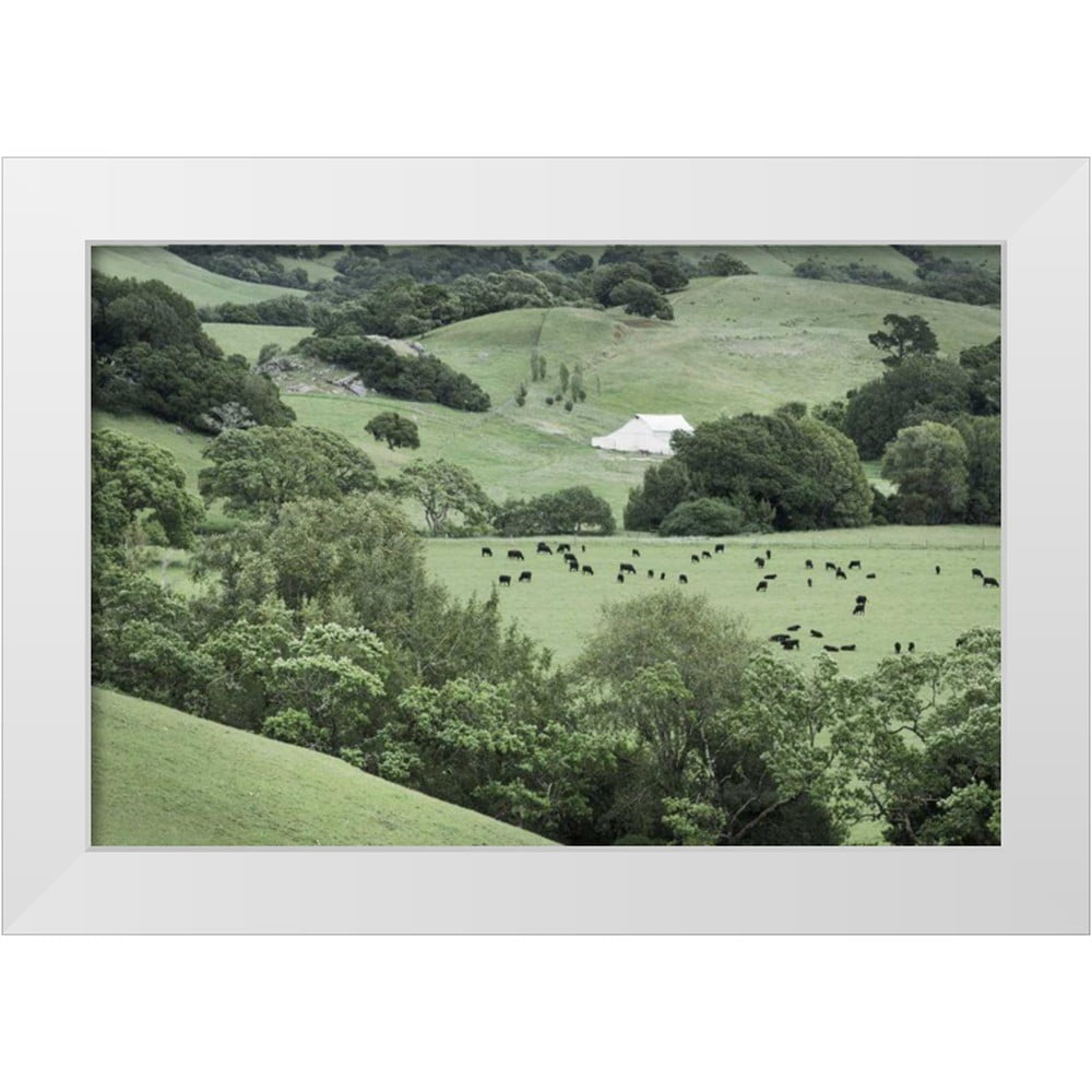 Majchrowicz, Alan 18x13 White Modern Wood Framed Museum Art Print ...