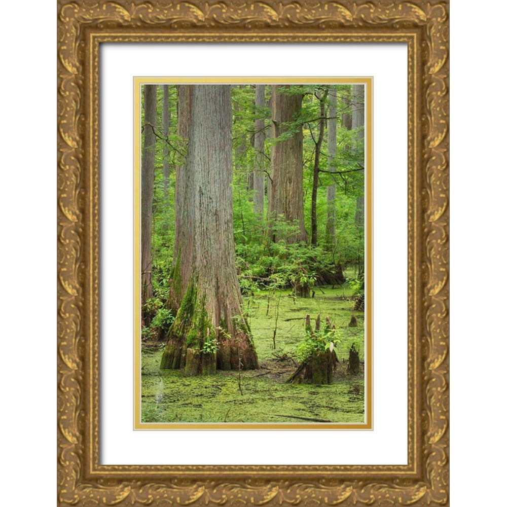 Majchrowicz, Alan 23x32 Gold Ornate Wood Framed with Double Matting ...