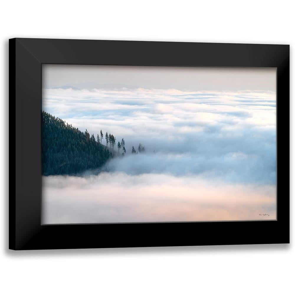 Majchrowicz, Alan 24x17 Black Modern Framed Museum Art Print Titled - Fog and Forest III ...