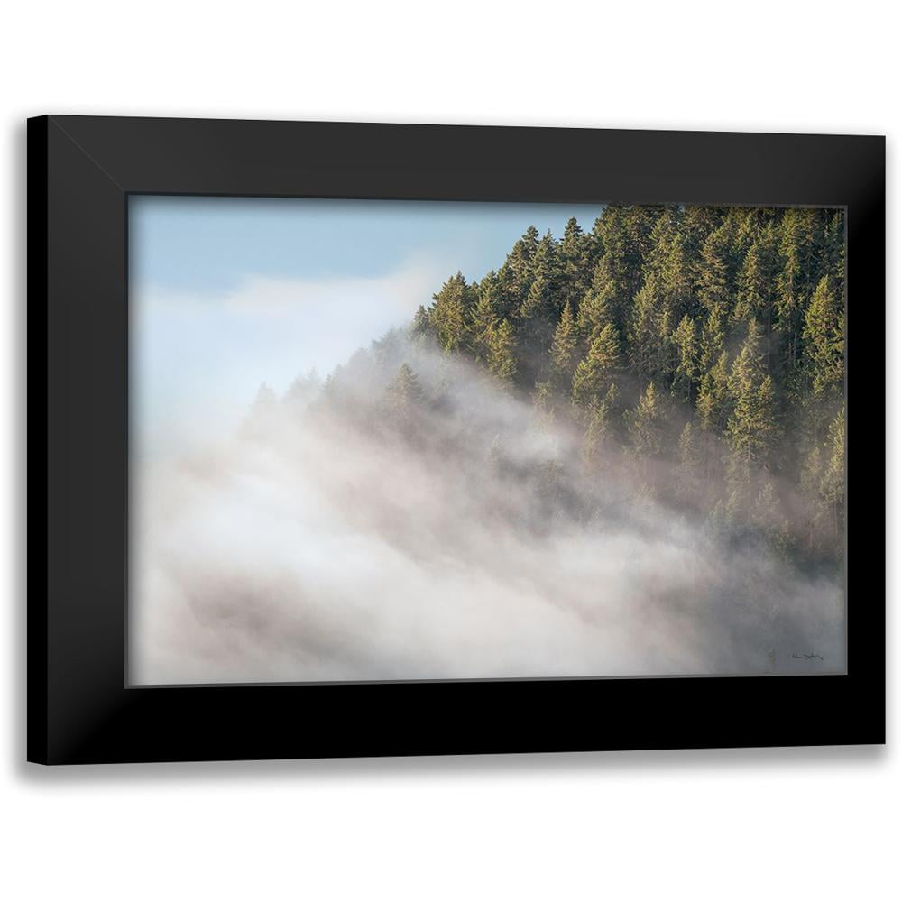 Majchrowicz, Alan 24x17 Black Modern Framed Museum Art Print Titled - Fog and Forest I - Walmart.com