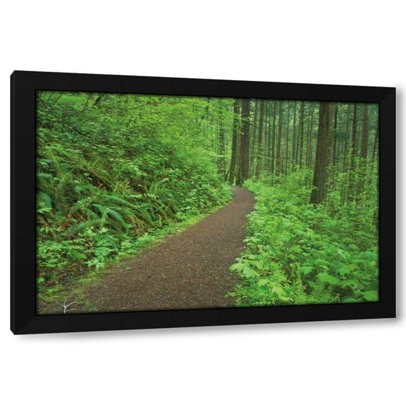 Alan Majchrowicz 24x17 Black Modern Wood Framed Wall Art Titled ...