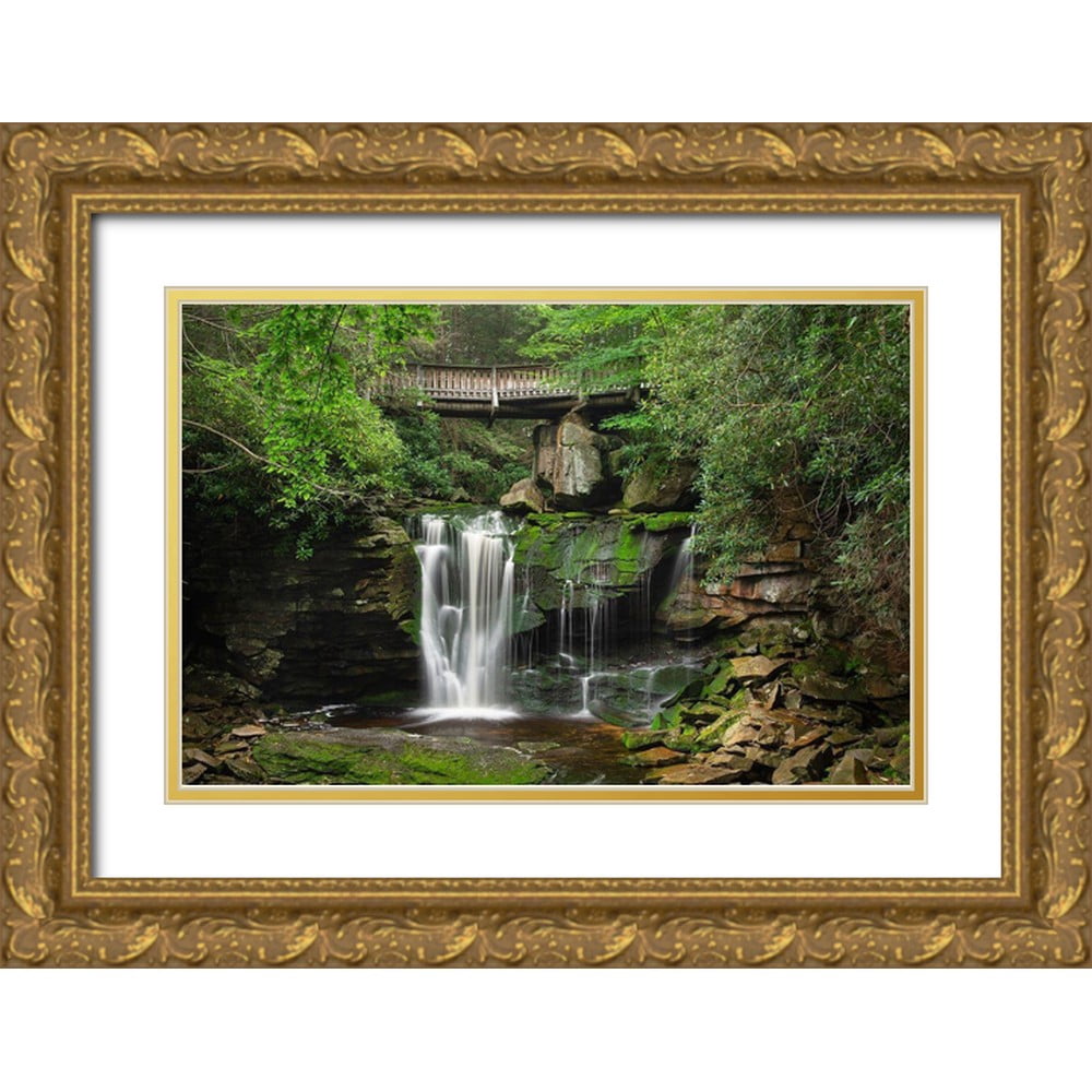 Majchrowicz, Alan 24x17 Gold Ornate Wood Framed with Double Matting ...