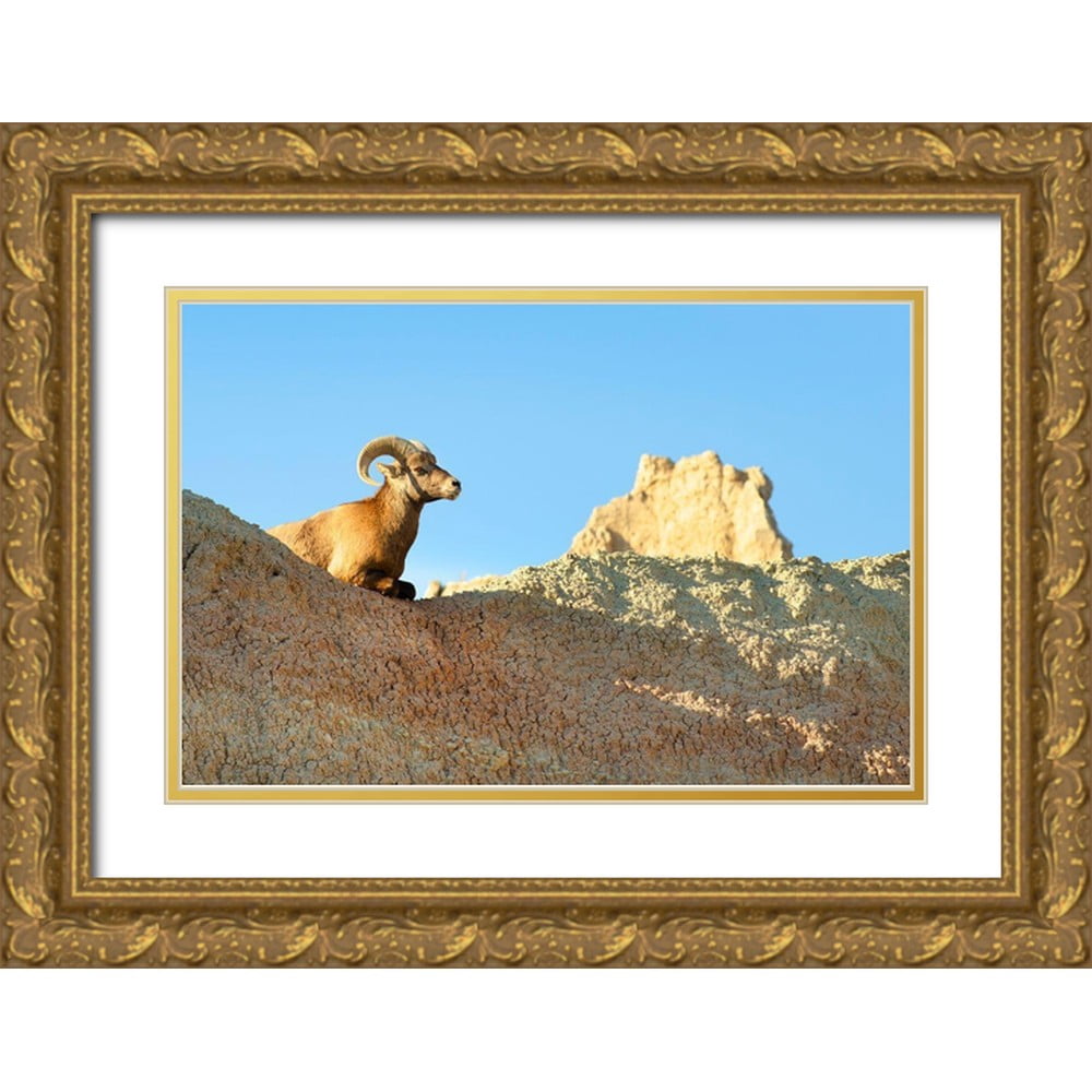 Majchrowicz, Alan 24x17 Gold Ornate Wood Framed with Double Matting ...