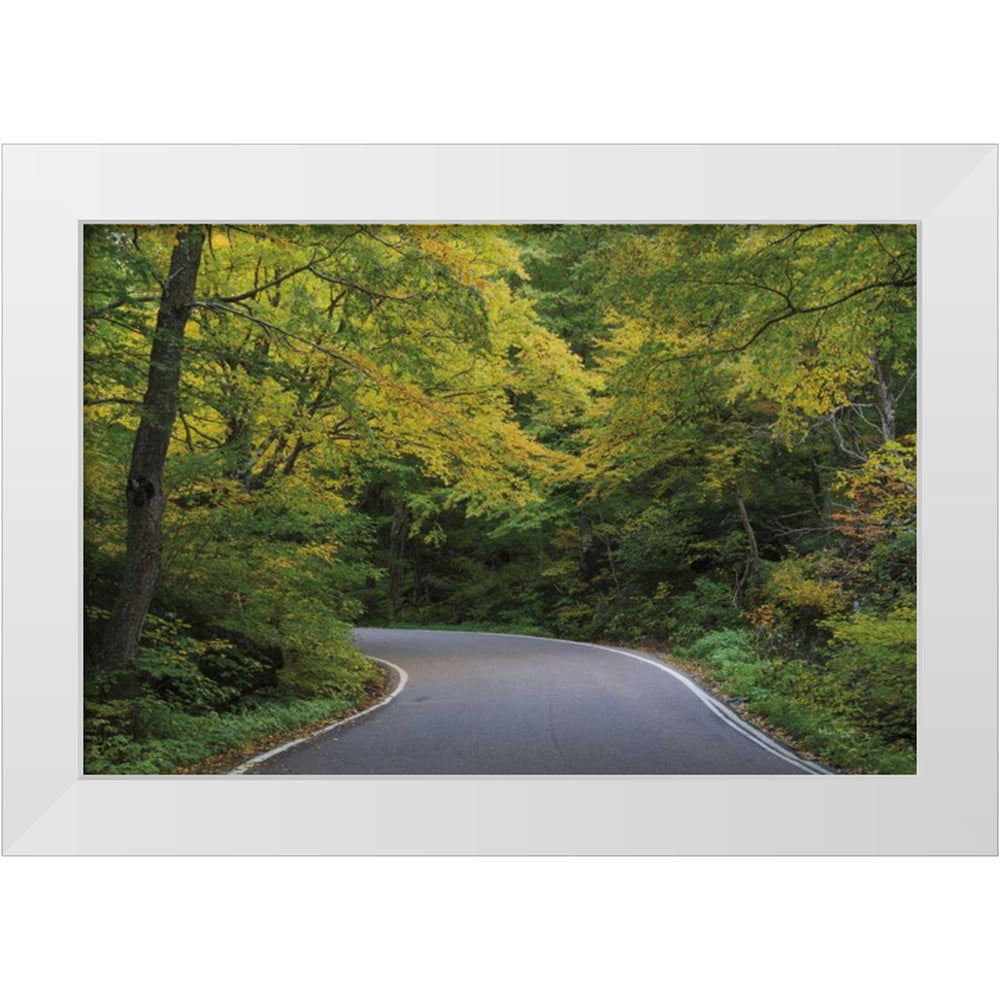 Majchrowicz, Alan 32x23 White Modern Wood Framed Museum Art Print ...