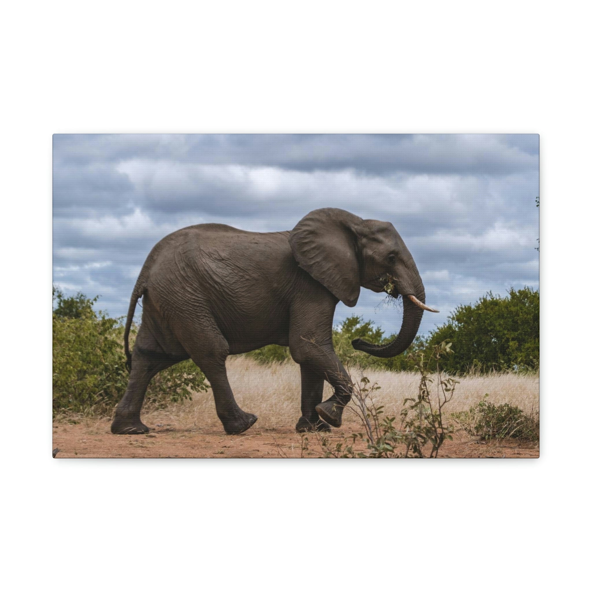 Majestic African Elephant Art Majestic African Elephant Print Animal ...