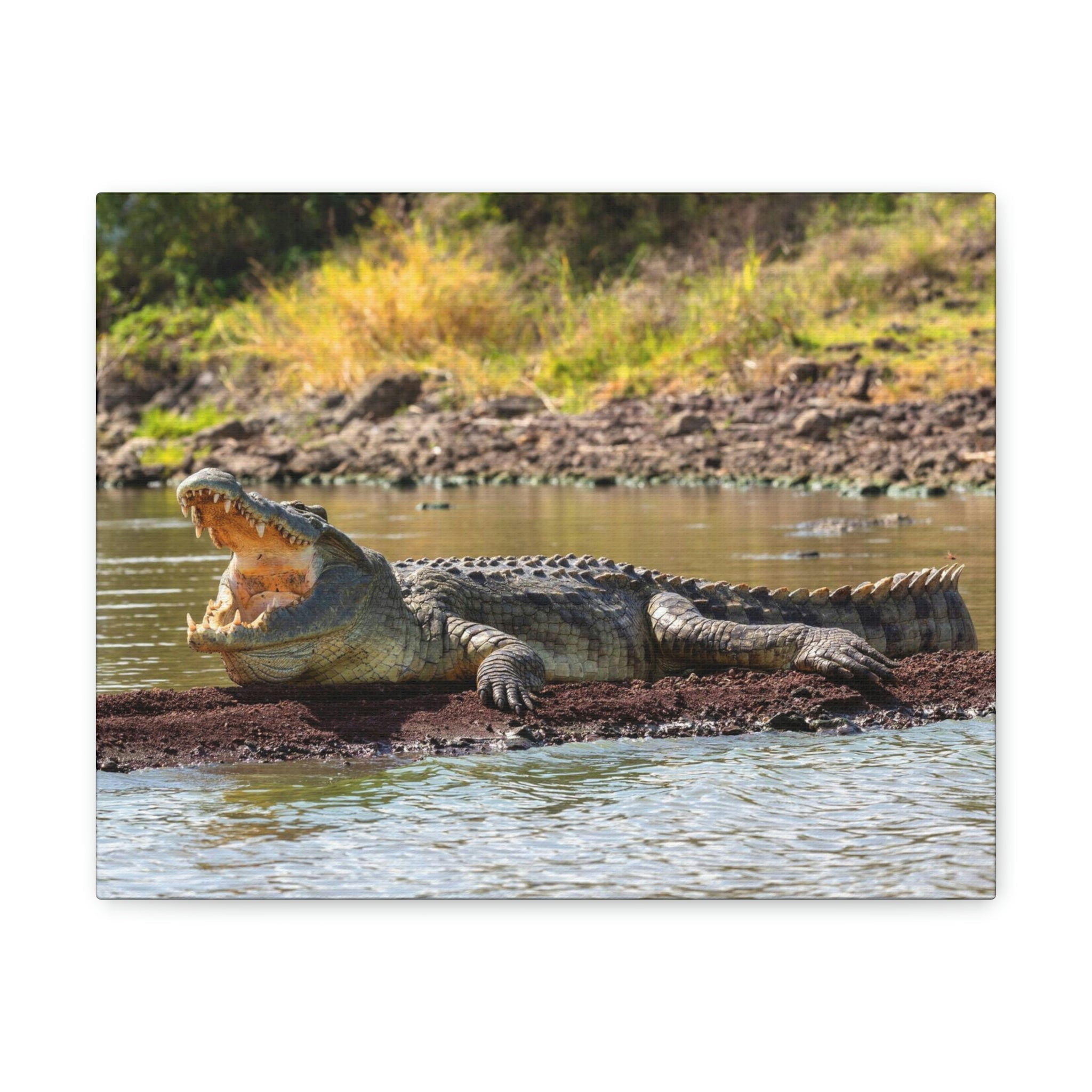 Majestic Alligator Art Majestic Alligator Print Animal Wall Art ...