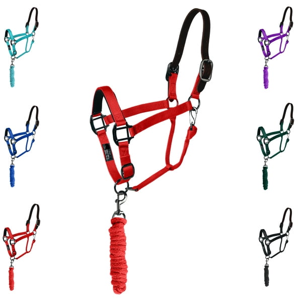 Majestic Ally Leather Halter with Matching Lead Rope for Horses ...