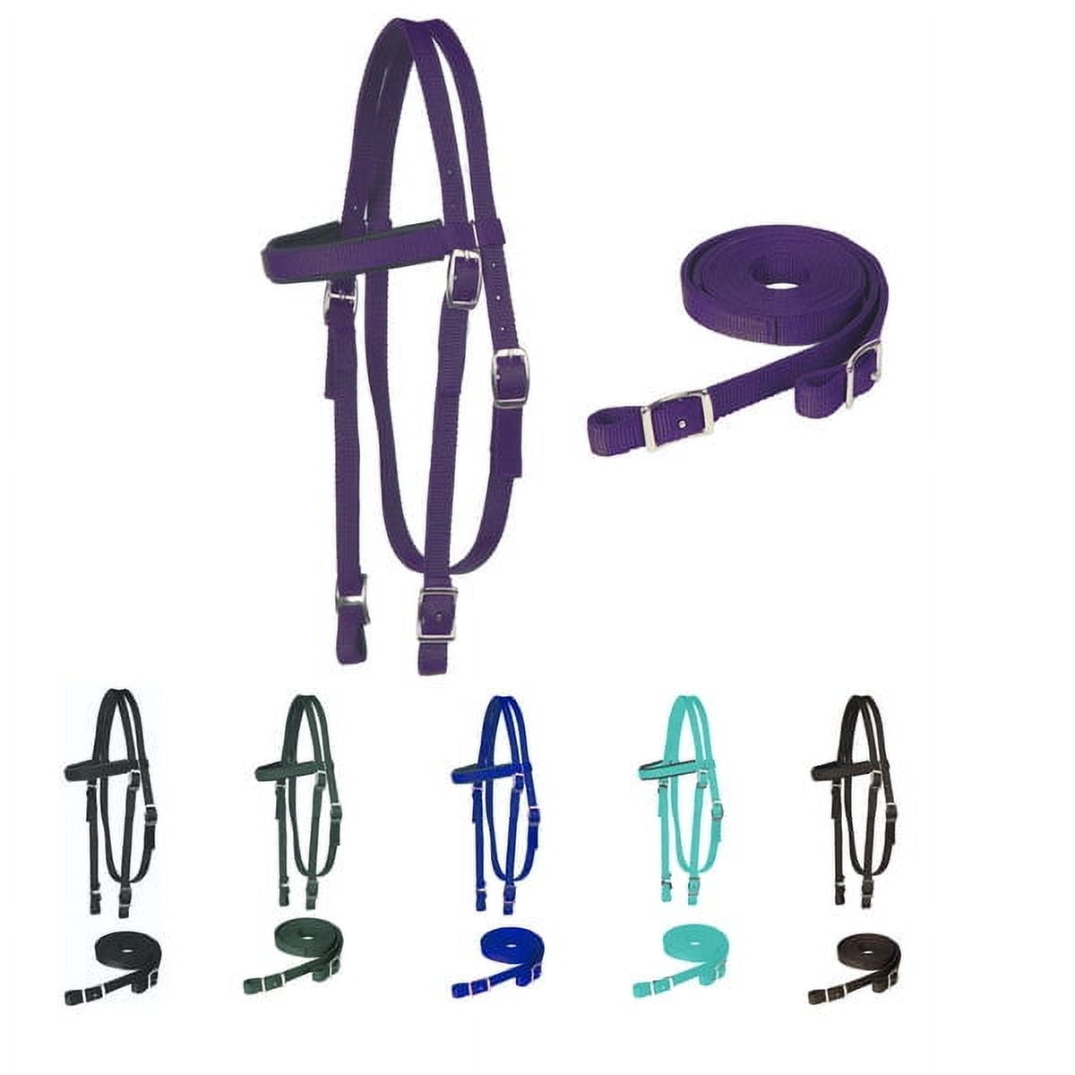 Majestic Ally Nylon Padded Browband Headstall with Reins for Horses ...