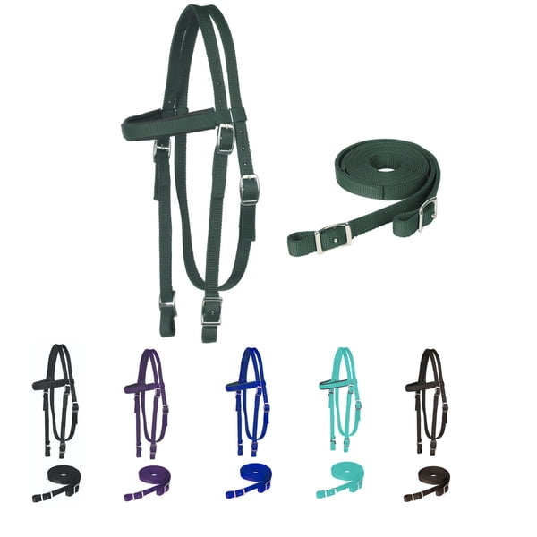 Majestic Ally Nylon Padded Browband Headstall with Reins for Horses ...