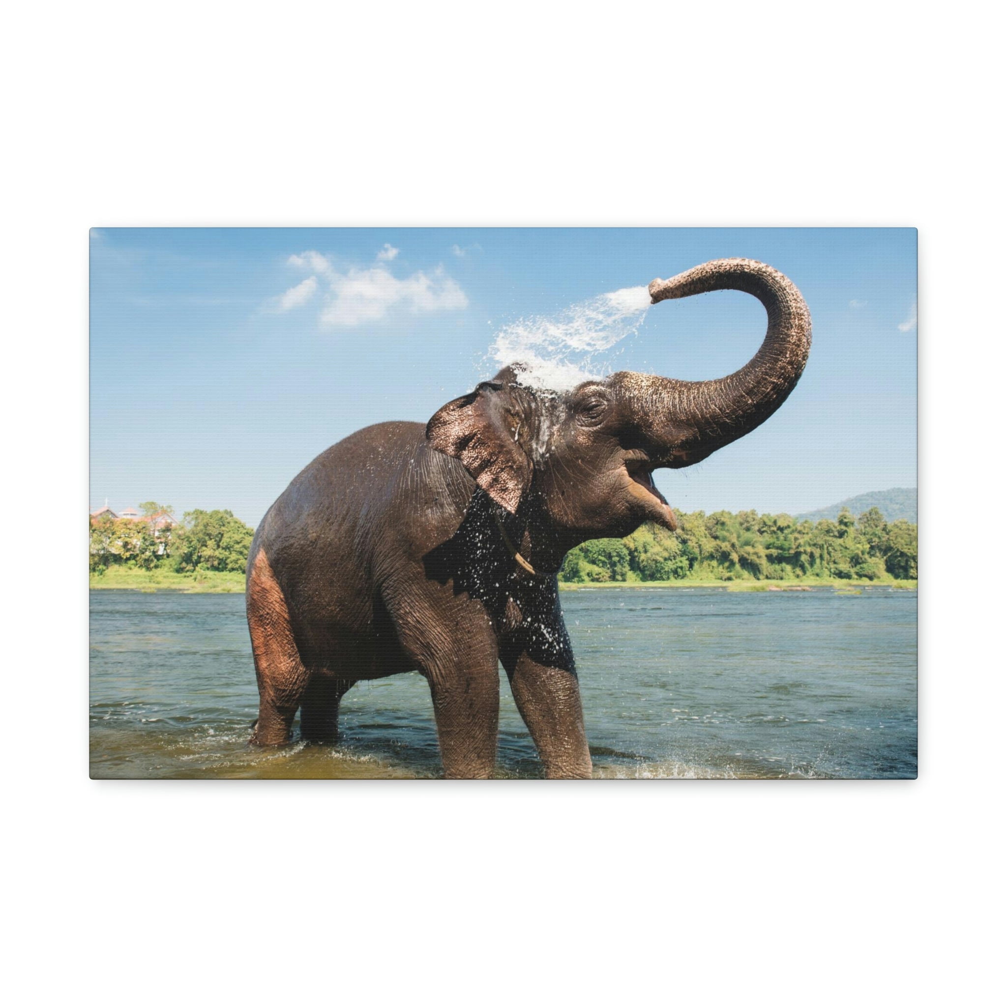 Majestic Asian Elephant Art Majestic Asian Elephant Print Animal Wall ...