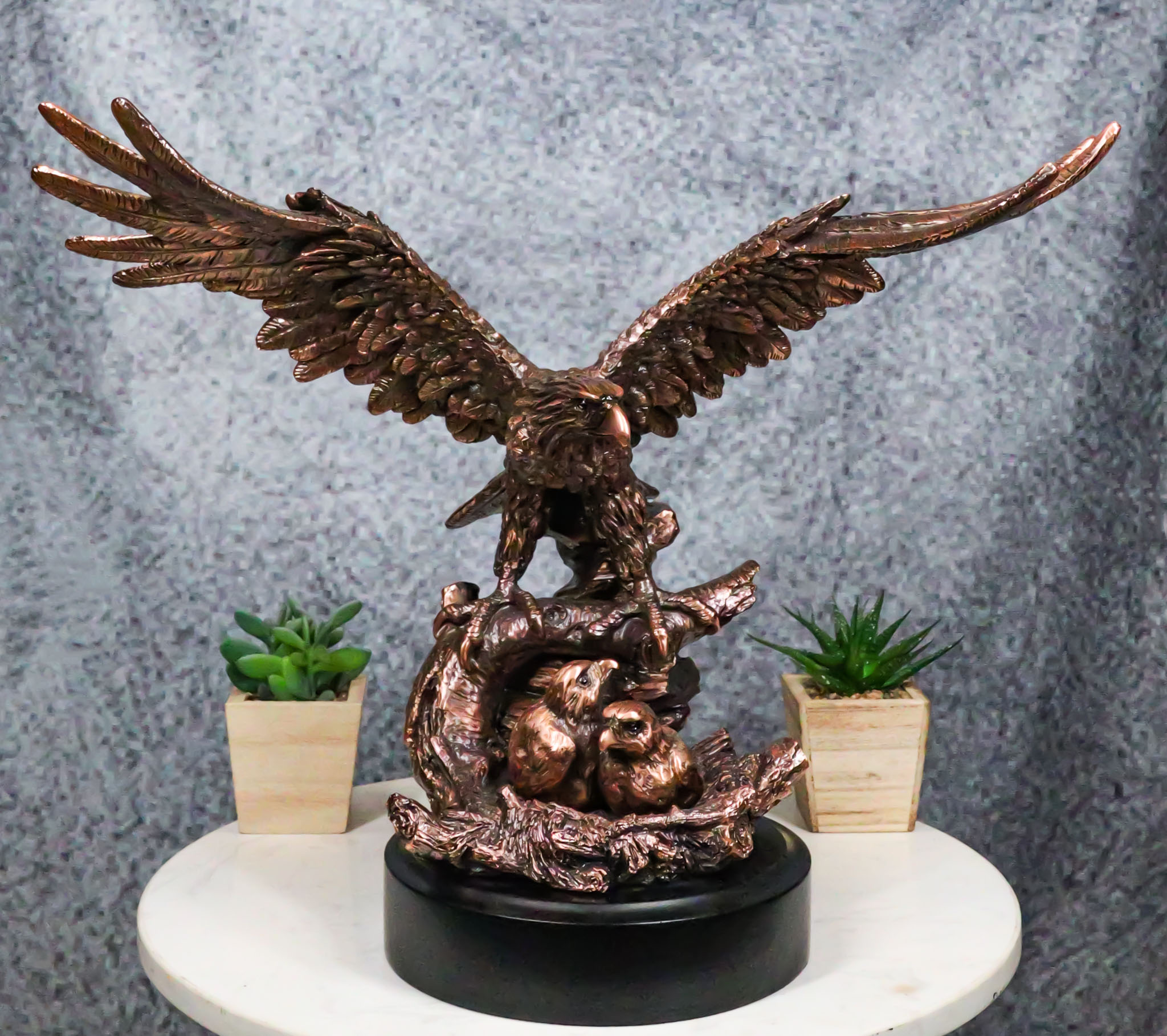 Majestic Bald Eagle Mother Spreading Her Wings Over Philippines Ubuy