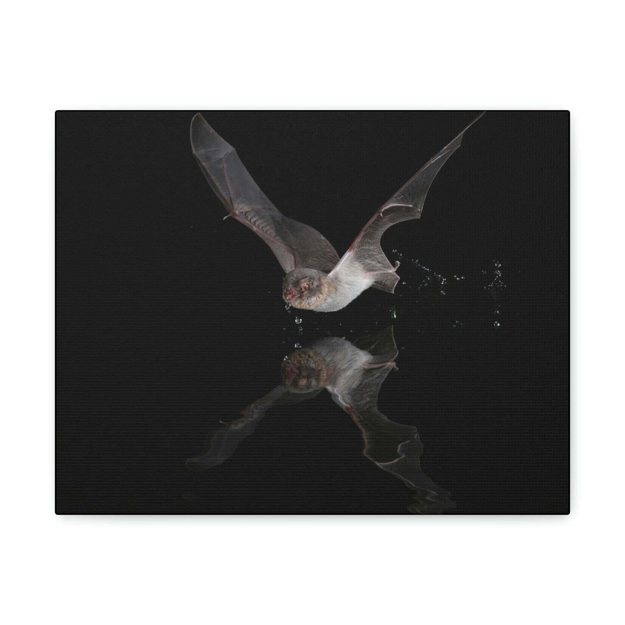 Majestic Bat Art Majestic Bat Hound Print Animal Wall Art Wildlife ...