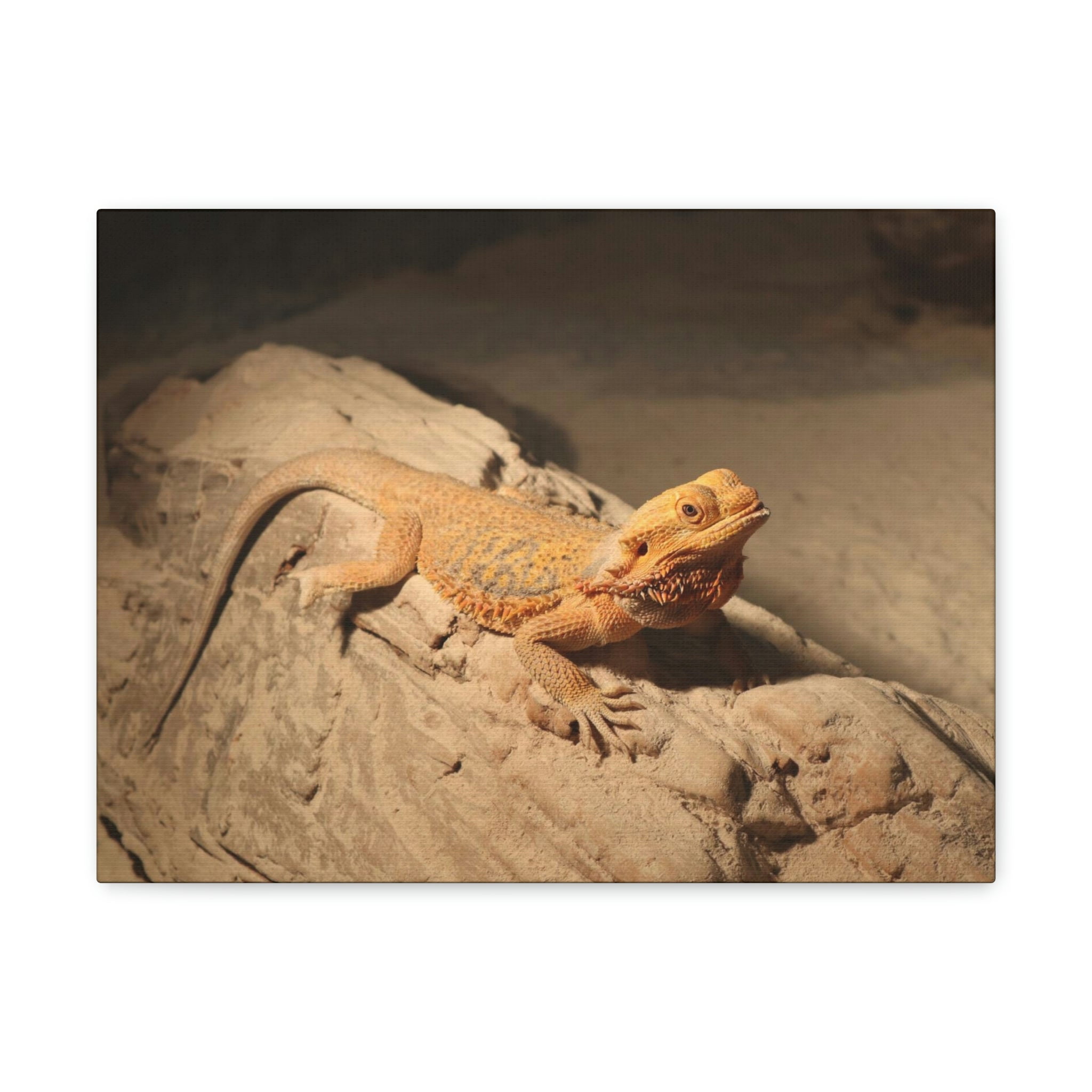 Majestic Bearded Dragon Art Majestic Bearded Dragon Print Animal Wall ...