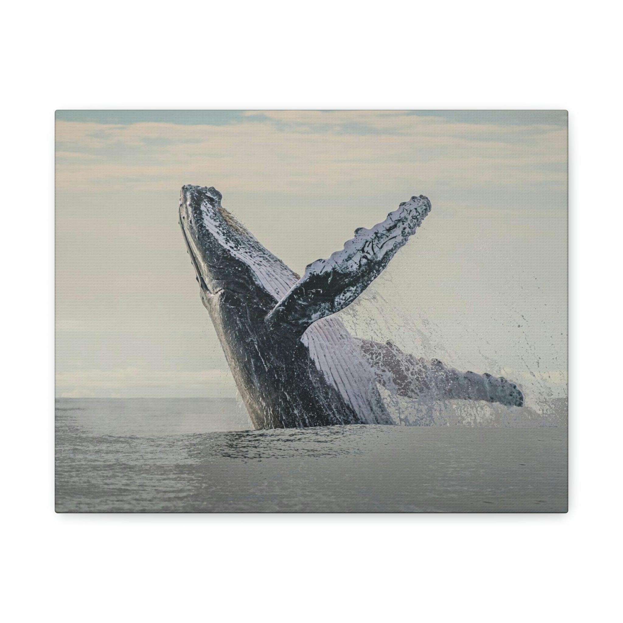 Majestic Blue Whale goat Art Majestic Blue Whale Print Animal Wall Art ...