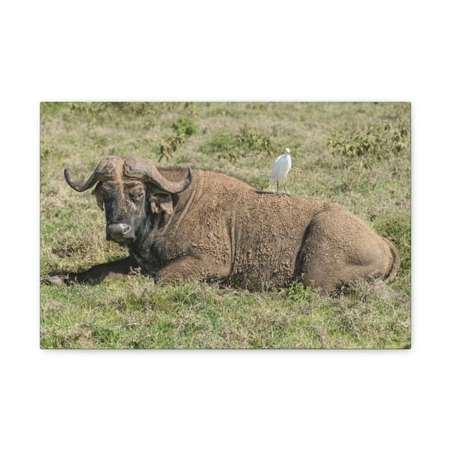 Majestic Buffalo Art Majestic Buffalo Print Animal Wall Art Wildlife ...