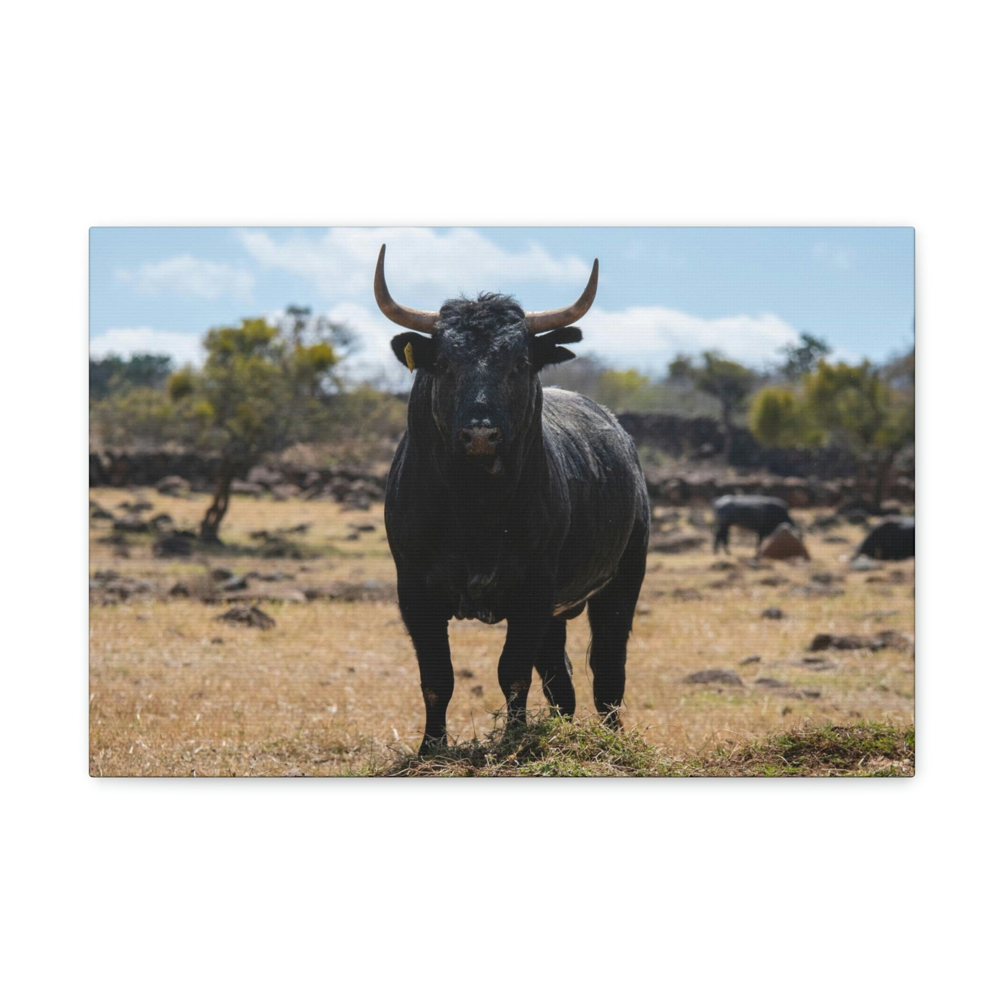 Majestic Bull Art Majestic Bull Print Animal Wall Art Wildlife Canvas ...