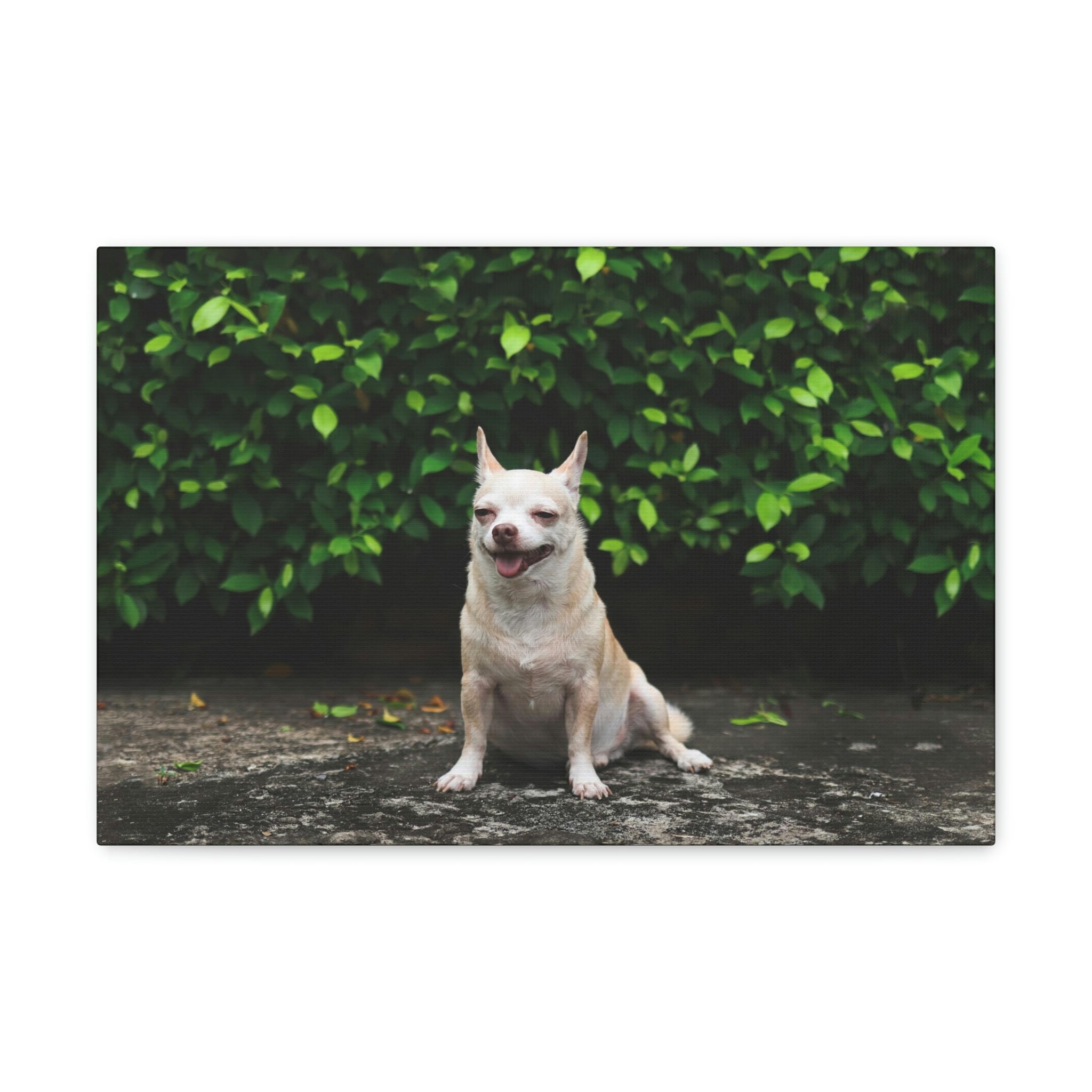 Majestic Chihuahua Art Majestic Chihuahua Print Animal Wall Art Wildlife Canvas Prints Wall Art ...