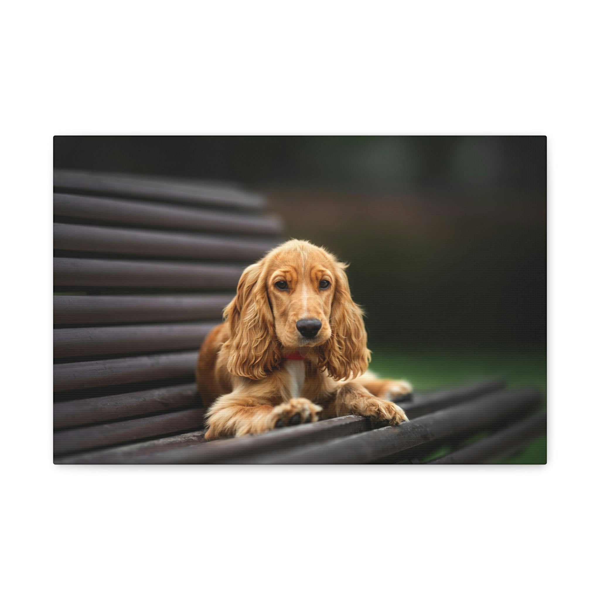 Majestic Cocker Spaniel Art Majestic Cocker Spaniel Print Animal Wall ...