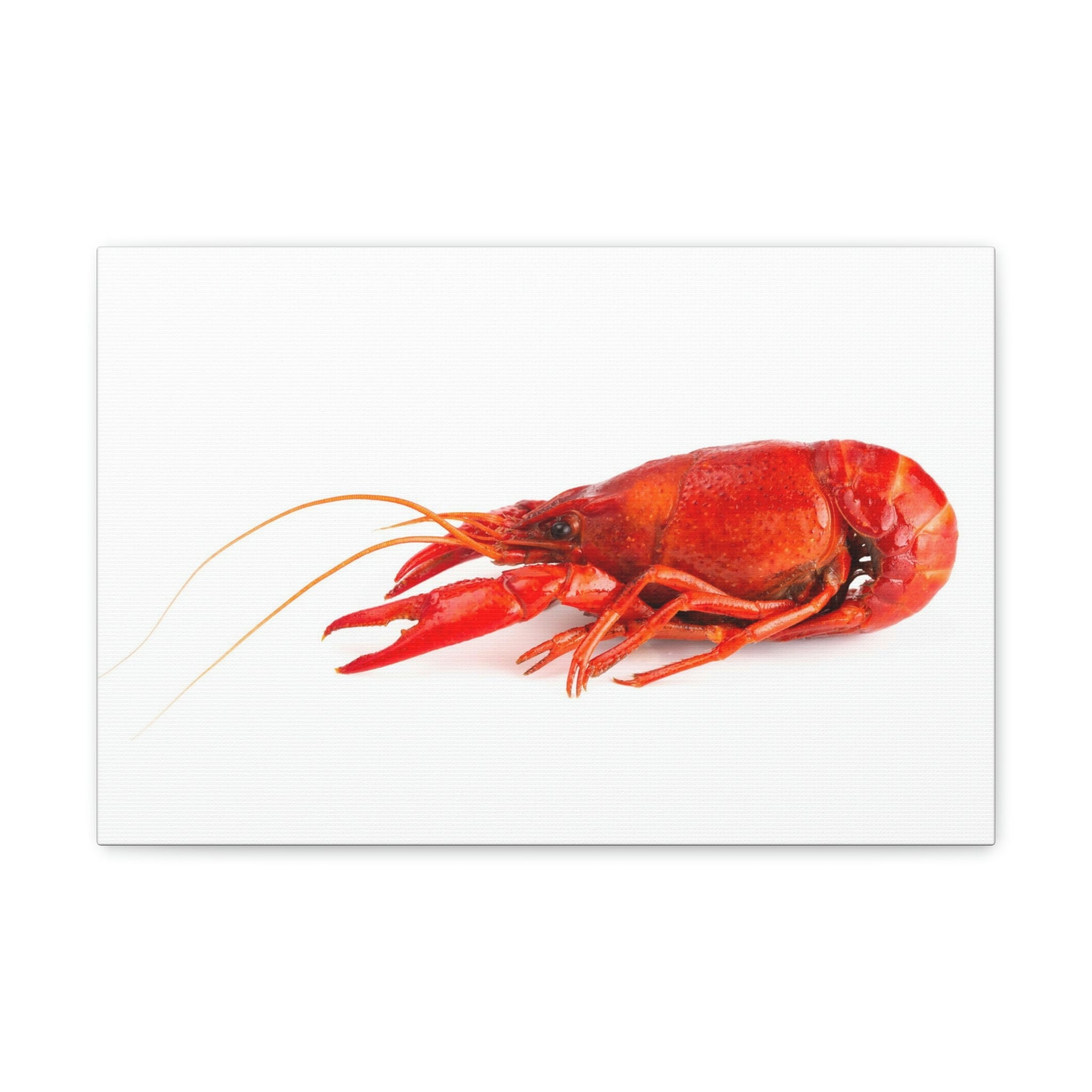 Majestic Crawfish Art Majestic Crawfish Print Animal Wall Art Wildlife ...